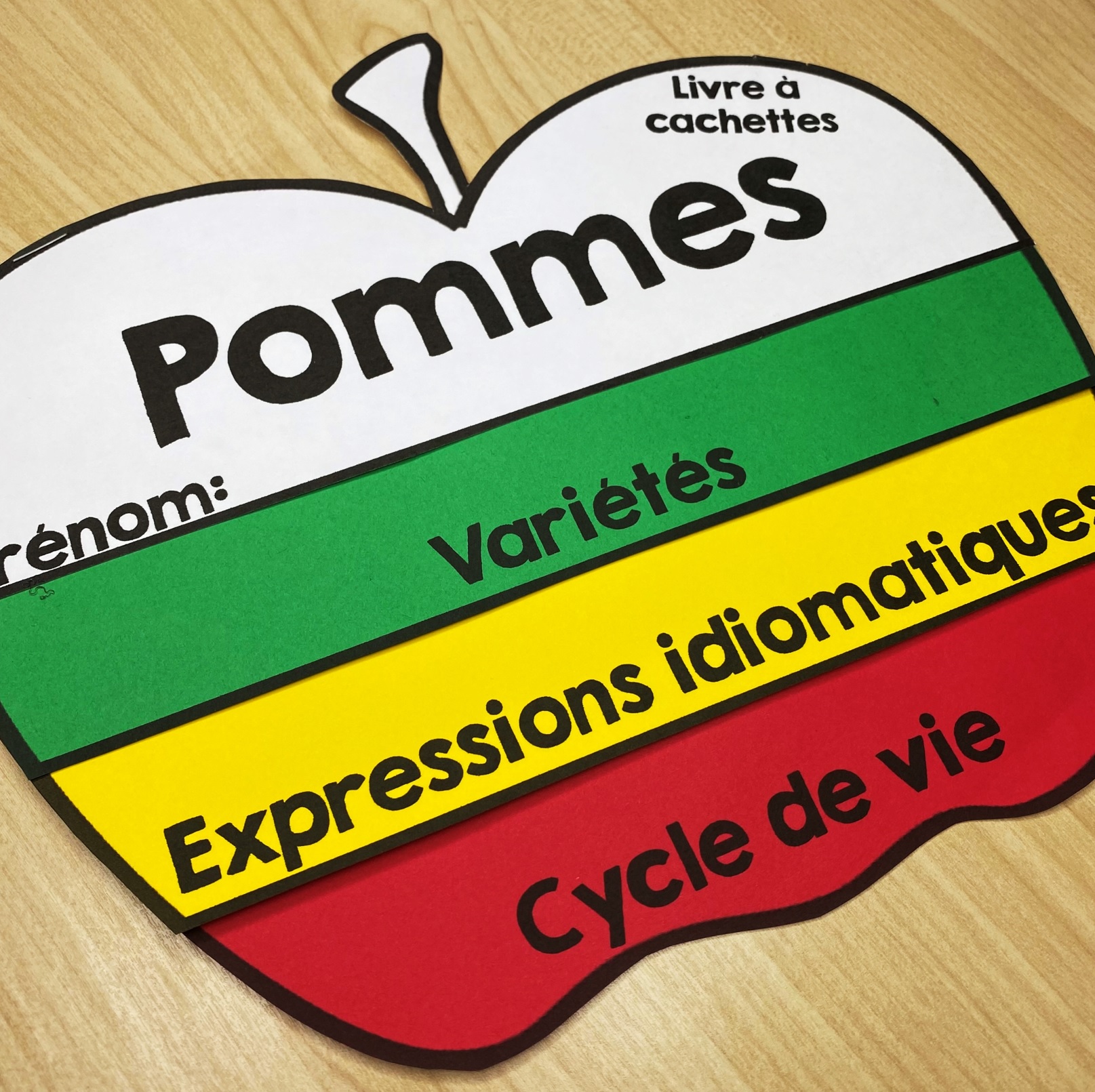 Pomme - Livre à cachettes - Michelle Dupuis Education